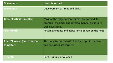 Human Reproduction Pptx Class Xii Biology Pptx Infertility