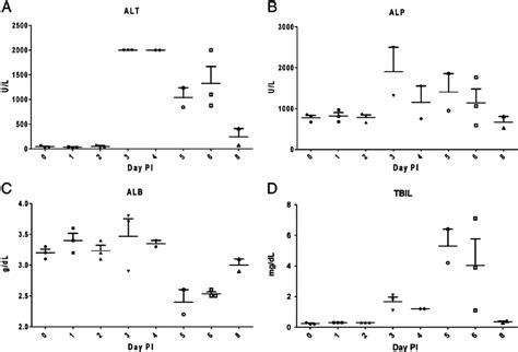 Analysis Of The A Alanine Aminotransferase Alt B Alkaline