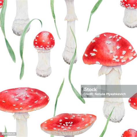 수채화 완벽 한 패턴 의 빨간 파리 Agaric 버섯 잔디 손으로 그린 식물 사실적인 그림 유독 버섯 에코 포장지 섬유 천연 허브 배경 패브릭 가을에 대한 스톡 벡터 아트