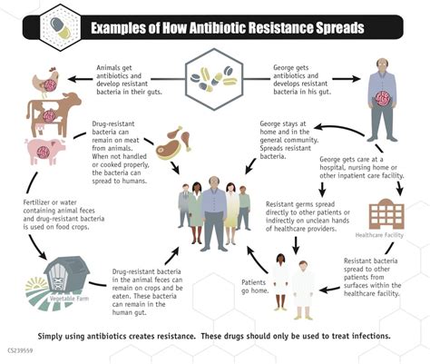 Antibiotic Resistant Superbugs May Be Closer To Home Than We Think