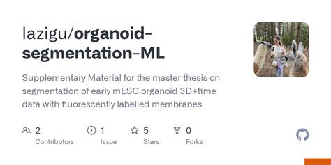 Organoid Segmentation Mlreadmemd At Main · Laziguorganoid Segmentation Ml · Github