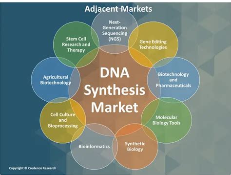 Dna Synthesis Market By Share Size And Growth 2030