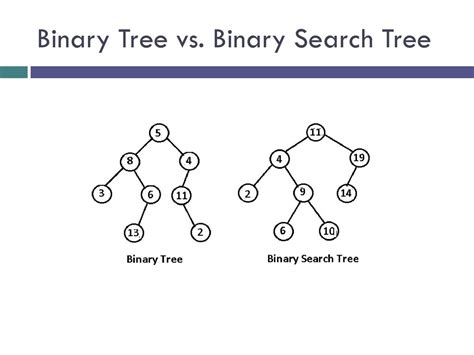 Trees Chapter Ppt Download