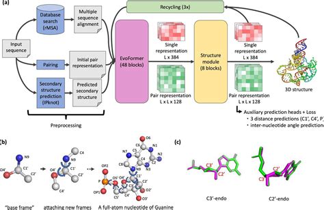 computational solution to model 3d rna structures could speed medical