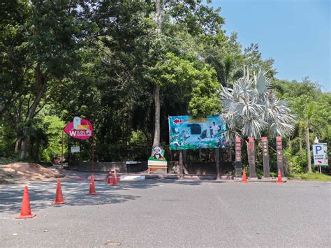 【遊芭達雅】綠山野生動物園，震撼大象游泳、近距離餵企鵝、長頸鹿、犀牛～曼谷近郊野生動物園 Aiko。手感溫度．愛生活