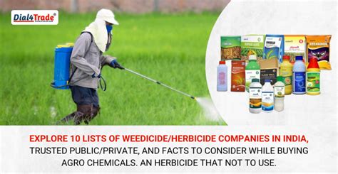 Best 10 Weedicideherbicide Companies In India 2024 Weedicide Demand