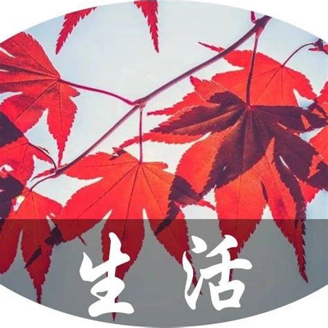 你累吗累就看看但不许哭 生活 孙德 人生