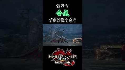 Mhr Mhrise モンハン モンハンライズ サンブレイク サンブレイク太刀 ライズ太刀 バルファルク 奇しき赫耀のバ