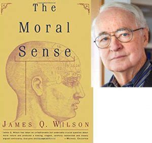 Where Does Morality Come From — A Fifth Mental Tool Vridar