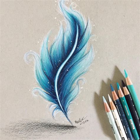 Drawing Feathers With Colored Pencils Prodrawingclub Pencil Art Drawing