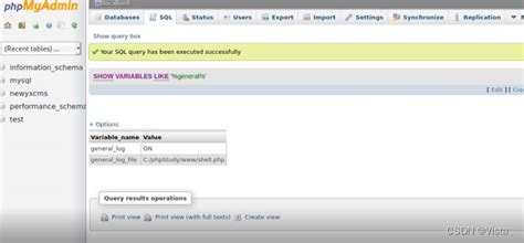 Web安全 Antsword（中国蚁剑）webshell管理工具使用 Csdn博客