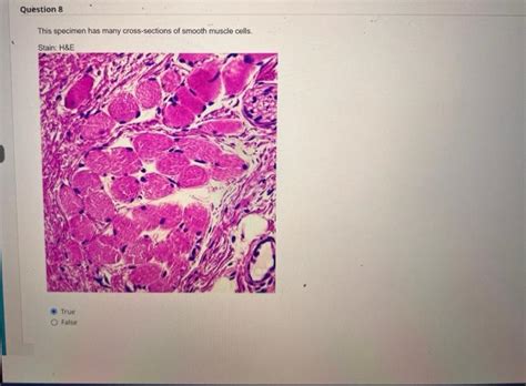solved this specimen has many cross sections of smooth
