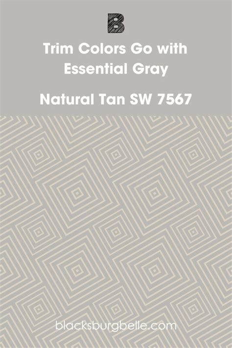 Sherwin Williams Essential Gray SW 6002 Paint Color Review
