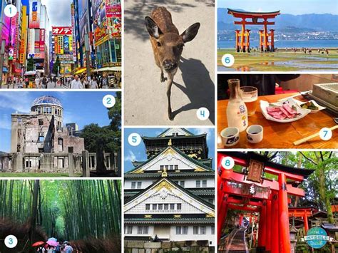 Itinéraire de 2 semaines au Japon guide complet pour les débutants