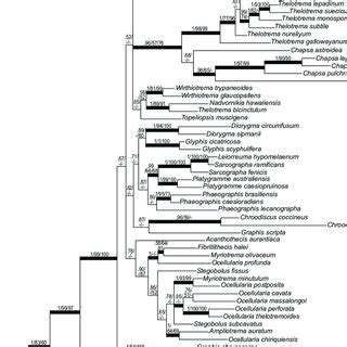 Bayesian Phylogenetic Inference Resulting From A 50 Majority Rule