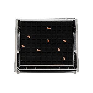 EM Tec FSB100S FIB Lift Out Grid Storage Box With Single Clip Rave Scientific