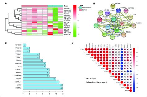 The Expression And Interaction Of M 6 A Rna Methylation Regulators In