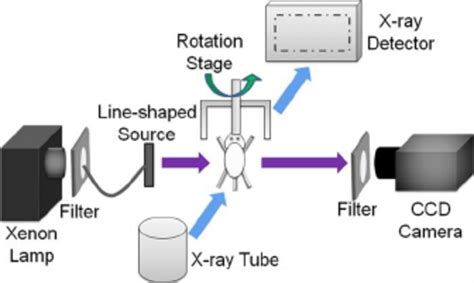 schematic diagram of the hybrid fmt xct imaging system the fmt system