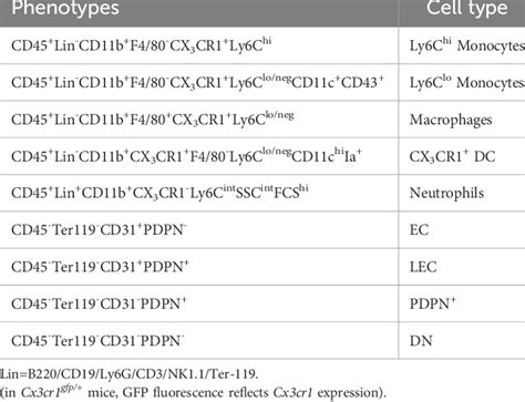Definition Of Cell Phenotypes Download Scientific Diagram