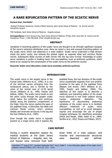 A Rare Bifurcation Pattern Of The Sciatic Nerve Docslib