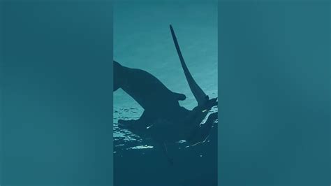 Megalodon Vs Spinosaurus Jwe2 Mods Youtube