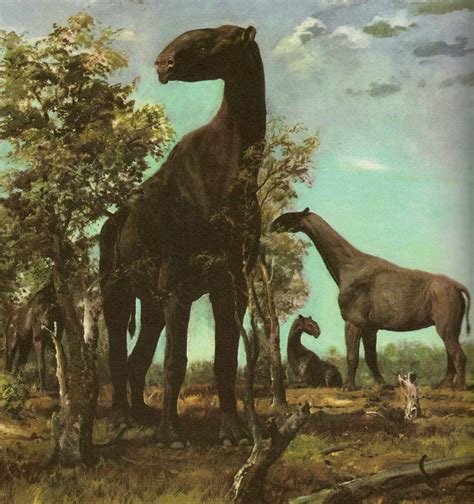 Hugag Cryptid Wiki Fandom Powered By Wikia