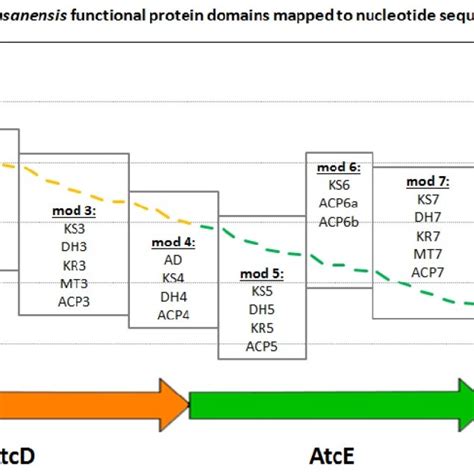 Chemical Structures Of Compounds Anthracimycin 1 Produced By Download Scientific Diagram