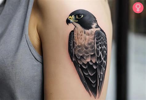 Falcon Tattoo Meaning 11 Powerful Symbols And Stunning Ideas