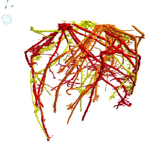 Real Image Sequence Real Image Sequence Showing Root Objects