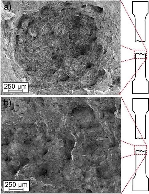 Scanning Electron Microscope Images From Fracture Area Of Samples