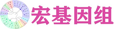 不同多囊卵巢综合征大鼠模型表型及肠道菌群组成差异性 2020第六届肠道微生态与健康线上国际研讨会