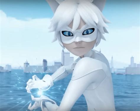 Cat Blanc Ladybug And Cat Blanc Cat Blanc Pfp Cat Blanc Miraculous
