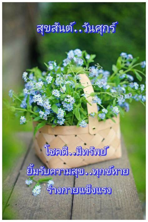 Good Morning Quotes And Images