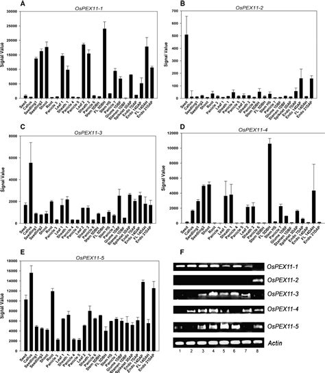 figure 5 from comprehensive sequence and expression profile analysis of
