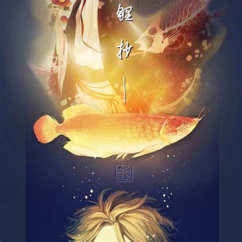 锦鲤抄海报 锦鲤抄 锦鲤抄图片 第13页 大山谷图库