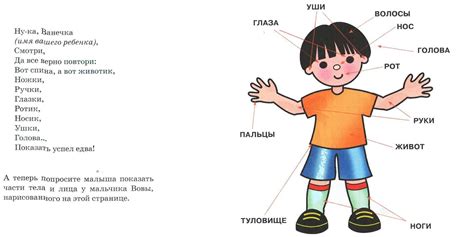 Картинки по запросу части тела для детей Fictional Characters