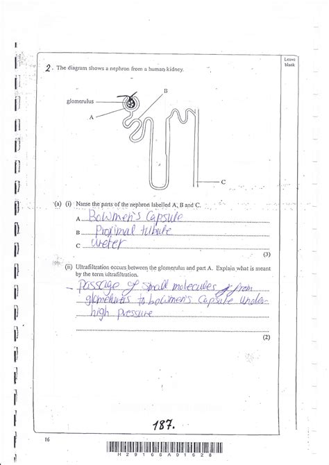 SOLUTION Igcse Biology Questions And Answers Past Papers Excretion