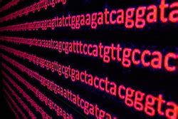 Gene Sequence Dna Ai Generated A Technology Photo By Pikepicture