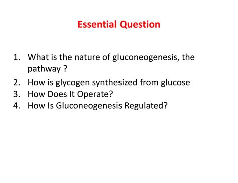 SOLUTION Gluconeogenesis Biochemistry Studypool