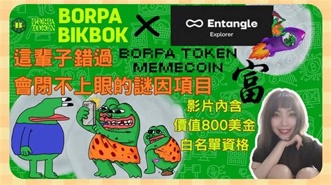 【borpa】想要賺800美金甚至以上 必須要看完borpa token前世今生│加密革命的前線│entangle在web3時代的角色與