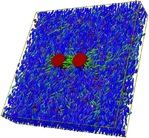 Snapshot Of Molecular Dynamics Simulations Of Two Long Colloids