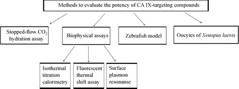 An Update On Anticancer Drug Development And Delivery Targeting