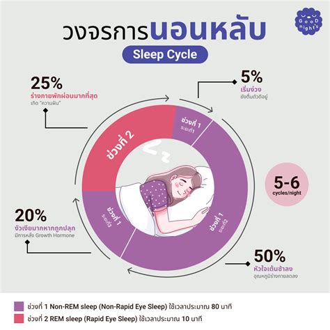 Good Nights ในการนอนหลับแต่ละคืน💤 รู้หรือไม่