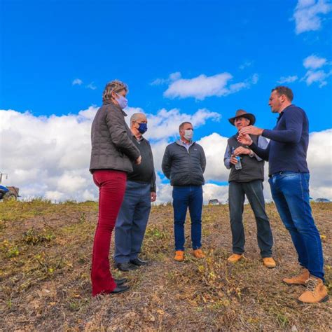Plantio De Cereais De Inverno Avança Na Serra Catarinense Secretaria