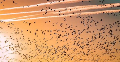 Hasan Savran On Linkedin New Data Migration Tool For Azure Cosmos Db