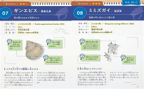 Jp みんなが知りたい 貝殻のすべて きれいな形や模様の魅力から殻の形成のヒミツまで まなぶっく 「貝殻の