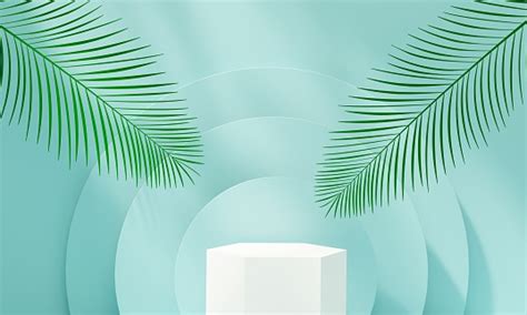 파스텔 블루 배경에 야자수 잎과 햇빛 요소가 있는 흰색 연단 3d 렌더링 그림 0명에 대한 스톡 사진 및 기타 이미지 0명