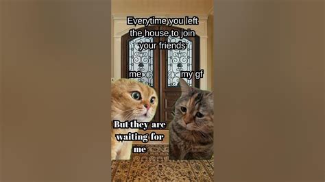 Everytime You Leave House Greenscreenanimalmemes Animals