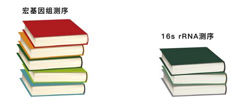 菌群检测选16s还是宏基因组测序？ 知乎