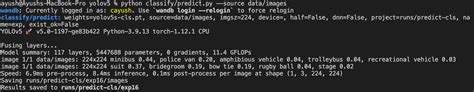 [classify] allow inference on dirs and videos 9003 · merge requests